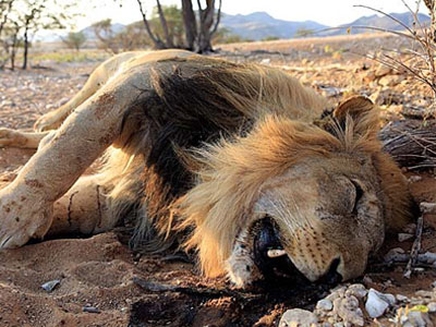 Home - National Park Rescue